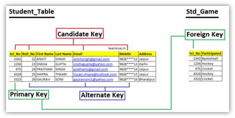 class 10 it 402 database management system notes exams mantra