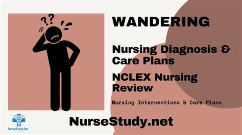 Wandering Nursing Diagnosis And Nursing Care Plan NurseStudy Net