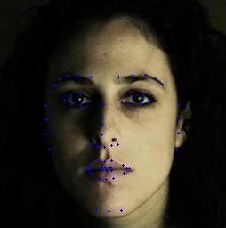 Render Resolution Is Issue Abdallahdib Nextface Github