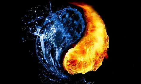 阴阳两虚？一个方法，2味中药，阴阳双补，肝肾同调 哔哩哔哩