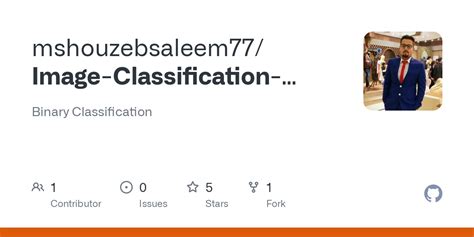 Github Mshouzebsaleem Image Classification Using Cnn Binary Classification