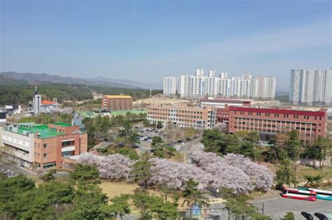 포항 선린대학교 제1회 기독교축제 개최 노컷뉴스