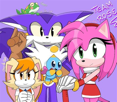 Team Rose Pegatinas Bonitas Cómo Dibujar A Sonic Sonamy Comic