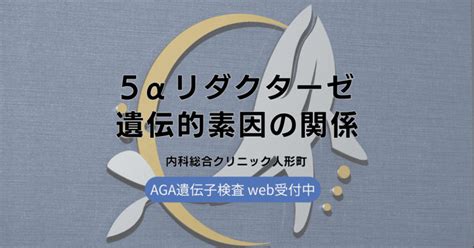 5αリダクターゼと遺伝的素因の関係 Agaの進行を遅らせるための科学的アプローチとは 内科総合クリニック人形町