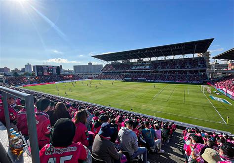 サッカー観戦の楽しみ方ガイド｜セレッソ大阪 公式サイト｜cerezo Osaka