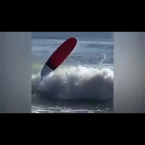 Try Not To Laugh 😆😂 Best Funny Videos One News Page Video