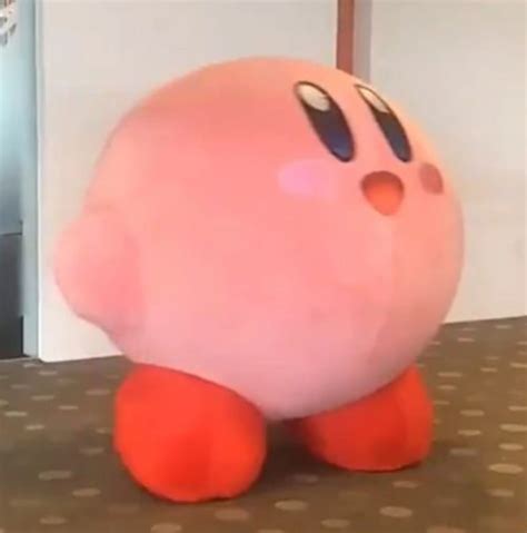 Kirby Costumed Characters Wiki Fandom Kirby Costumed Characters Wiki Fandom