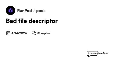 Bad File Descriptor Runpod