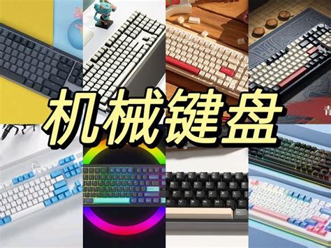 【2024最全机械键盘入门指南】 机械键盘配列、键帽材质、轴体该怎么选择？ 怎样入门选购适合自己的机械键盘？雷柏、狼蛛、rk、skn、达