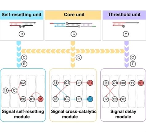 Engineering Modular Dna Reaction Networks For Signal Processing Cui