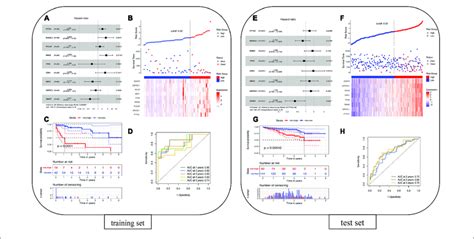 Prognostic Analysis Of The Nine Gene Signature Model In The TCGA
