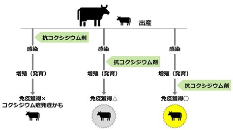 予防しているのにコクシジウム症発症part2 有限会社シェパード中央家畜診療所