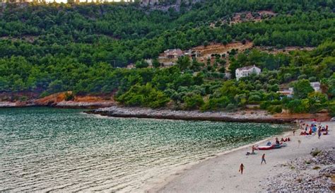 Θάσος: Γαλανά νερά και θασίτικο πεύκο! | Beach, Greece, Water