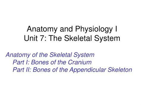 PPT Anatomy And Physiology I Unit The Skeletal System PowerPoint Presentation ID