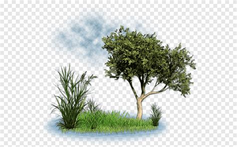 Blog Branch Landscape Png PNGEgg