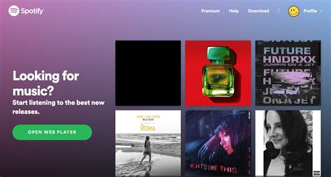 Why Doesn T Spotify Work Offline Werohmedia
