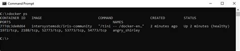 introduction to docker intersystems developer community docker open
