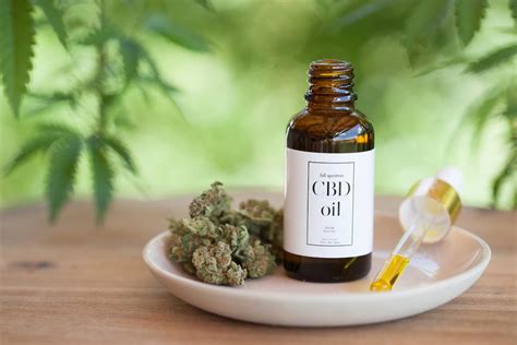 CBD 10 COSAS QUE DEBES SABER SOBRE EL CANNABIDIOL