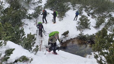 Rumunsko Godeanu Na Sněžnicích