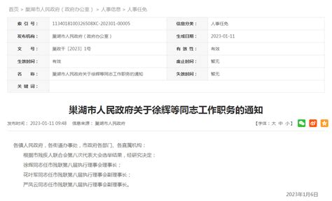 最新！巢湖市发布人事任免！同志徐辉理事会