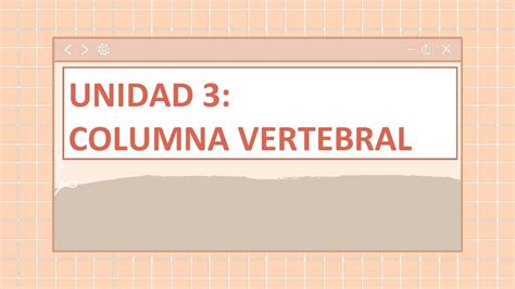 Resúmenes De Anatomía De La Columna Descarga Apuntes De Anatomía De