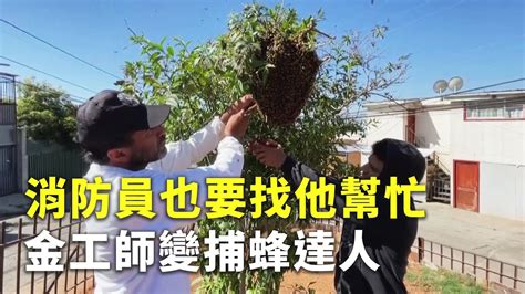 消防員也要找他幫忙 金工師變捕蜂達人 業餘養蜂人 國際新聞 Youtube