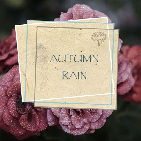 Autumn Rain Relaxing Spirit Mp3 Buy Full Tracklist