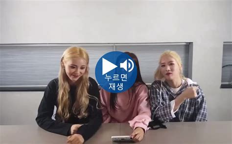 포복사픽떴는데 포좀 기부 받아봅니다 연예인잡담 에펨코리아