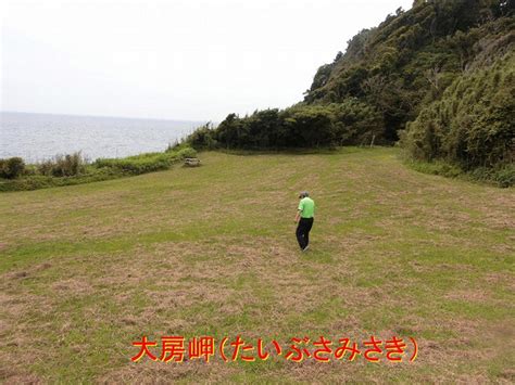 千葉県南房総市富浦の海富浦港岡本桟橋レインボーちゃんの冒険 西村治彦の日記
