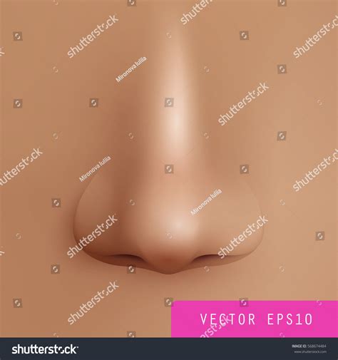 Human Nose Vector Illustration Stock Vector Royalty Free 568674484