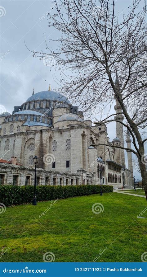 Vista De La Mezquita Suleymaniye Camii Siluetas De La Mezquita De