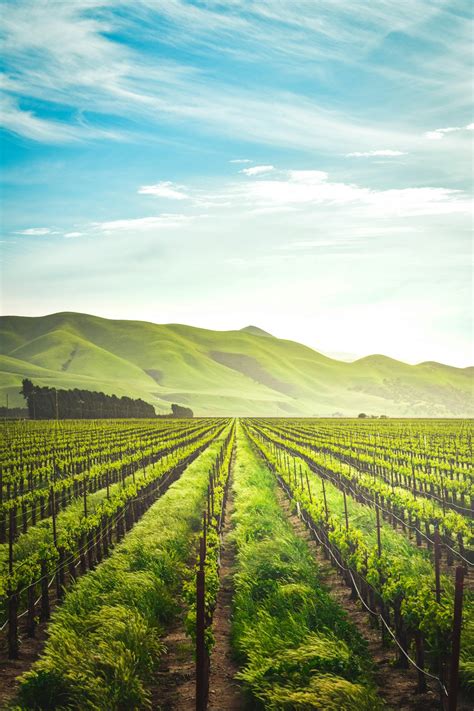 100 Farm Pictures Download Free Images On Unsplash