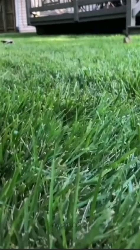 هیترا جیهوپ خیلی خوبه تازه آرمی ها ایرانی با شما هام جیهوپ رو دوست داشته باشید اون طرف دارای کمه