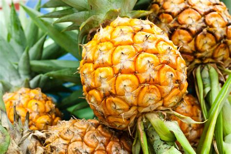 Products • Koolau Farmers