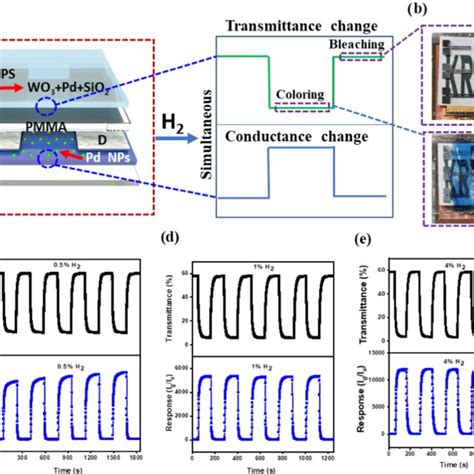 A Schematic Of Simultaneous Dual Signal Transmittance And