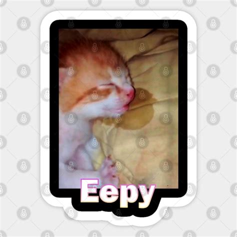 Eepy Cat Meme Eepy Sticker Teepublic