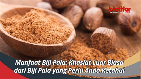 Manfaat Biji Pala Khasiat Luar Biasa Dari Biji Pala Yang Perlu Anda