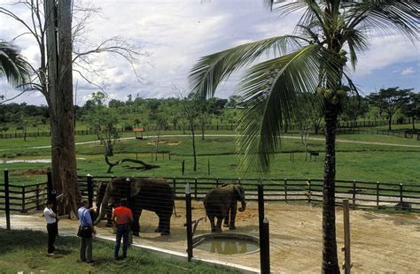 Inside Pablo Escobars Famous Hacienda 1980s Rare Historical Photos