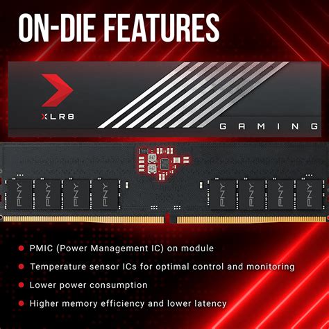 Pny Launches Xlr8 Gaming And Performance Ddr5 Desktop Memory Up To 32 Gb Capacities And 5600 Speeds