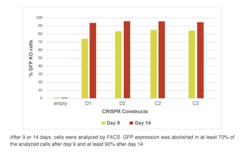 Custom Sgrna Constructs Cellecta