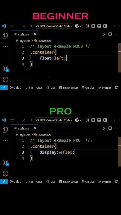 Beginner Vs Pro Frontend Developer Do You Agree Coding Webdesign Frontend Css Shorts
