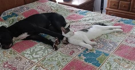 Buddies Album On Imgur