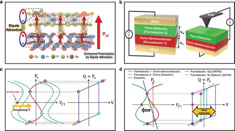 A Schematic Atomic Structure Illustrating Polarization Up State Of