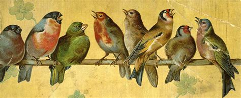 Chromolithography On Tumblr