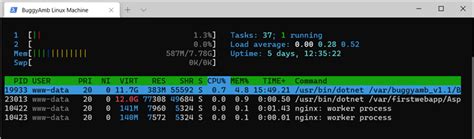 使用 top、htop 命令监视进程 asp core microsoft learn
