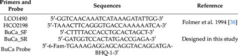 Information Of Primers And Probe Used In This Study Download Scientific Diagram