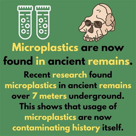 Plastic Reduction Project Plastic Reduction Project