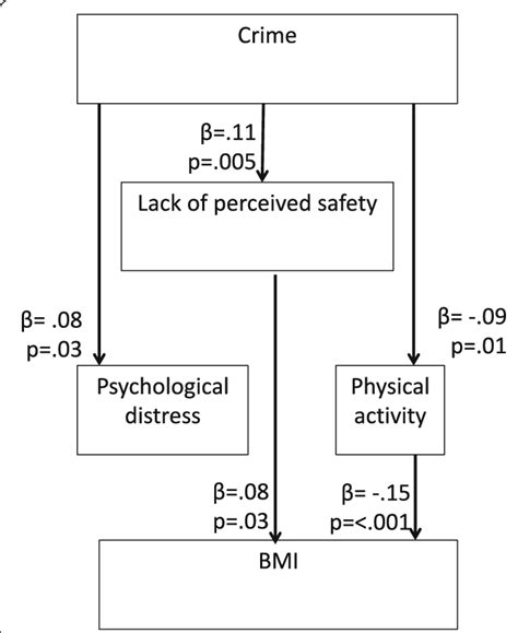 Longitudinal Sem Model Testing Direct And Indirect Paths From Crime To