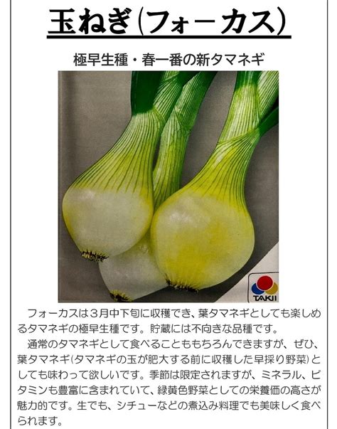 収穫体験2023新タマネギにんじんを収穫しよう① 3 2526 ご案内 自然と文化の森協会