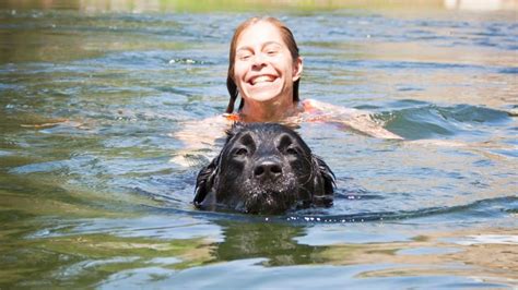 10 Ejercicios Con Tu Perro En La Ciudad